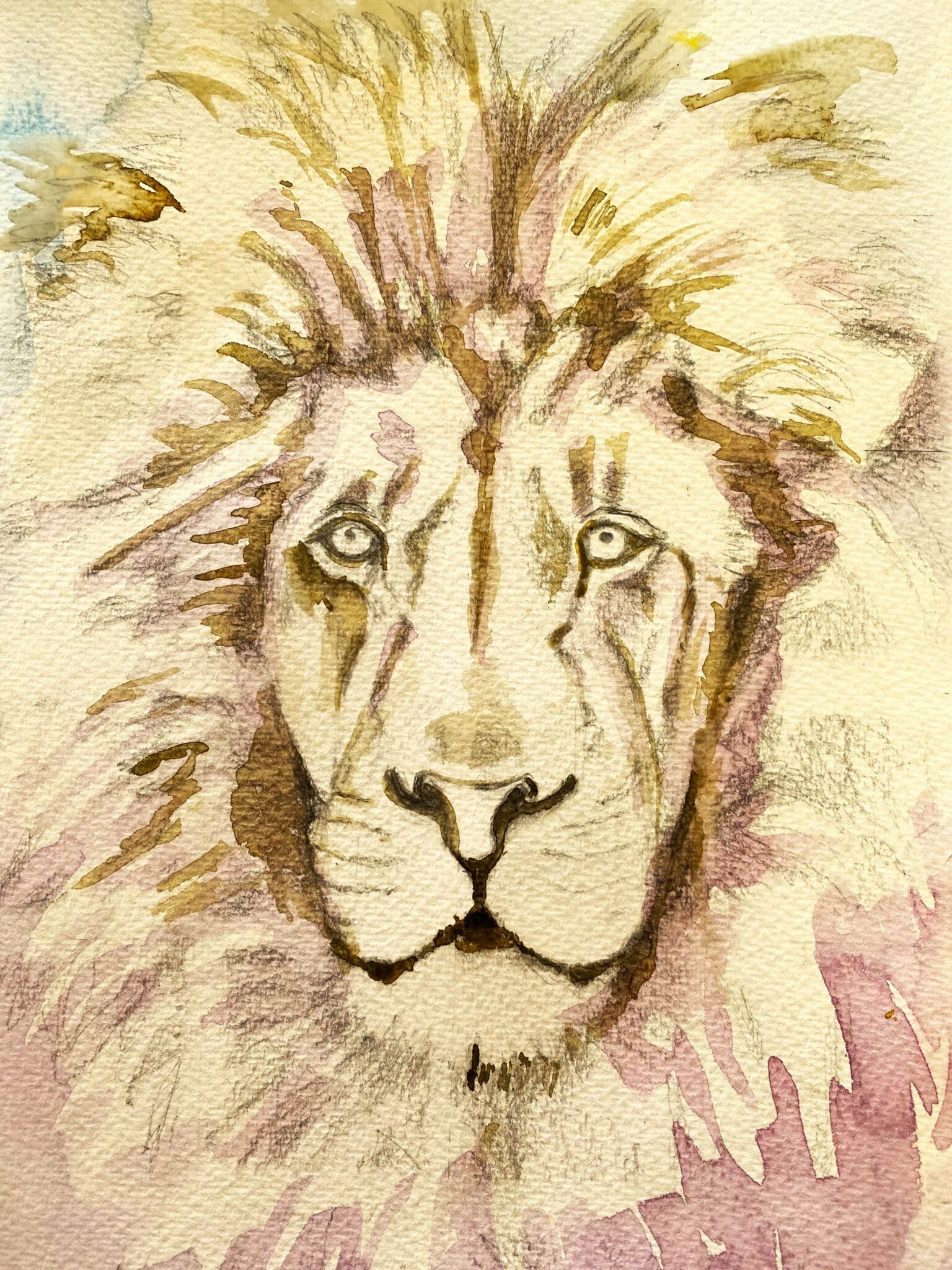 How to paint an expressive lion in watercolour